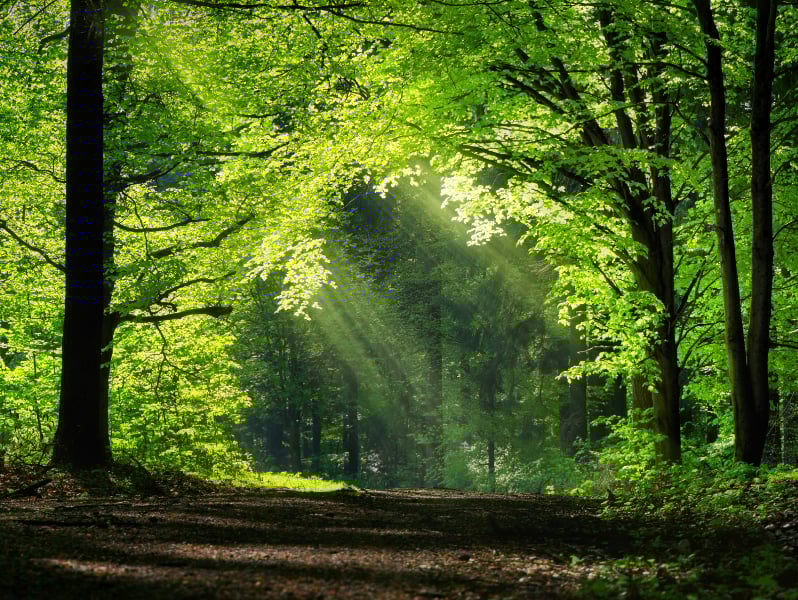 Chrysos Jewelry | Gold & Silver Chains Made in Italy